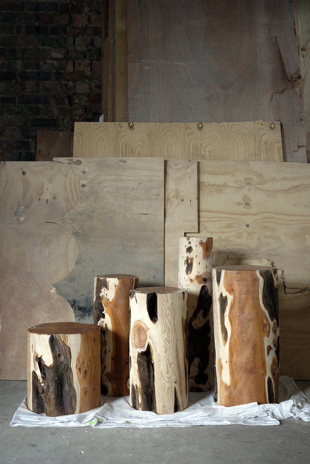 162 – Chatsworth Yew Logs